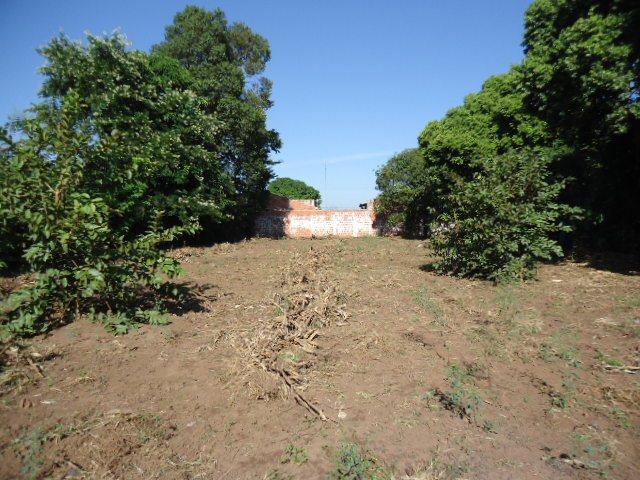 Terreno para venda em Ibaté em Ibaté São Paulo de 1800.00m²