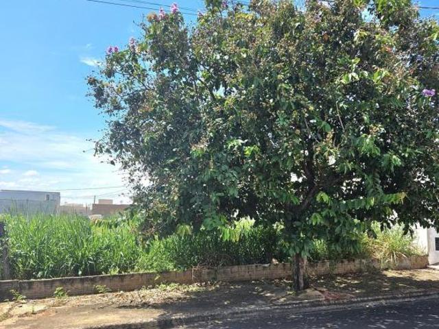 Terreno para Venda em Ibirá, Jardim Bela Vista 2