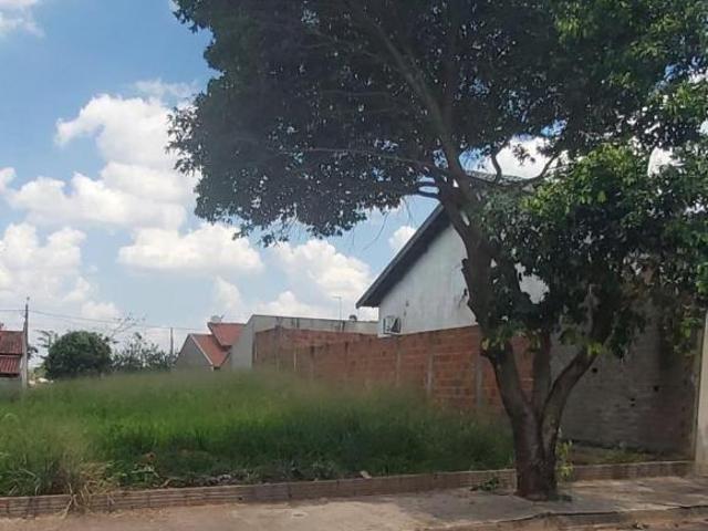 Terreno para Venda em Ibirá, Jardim Bela Vista