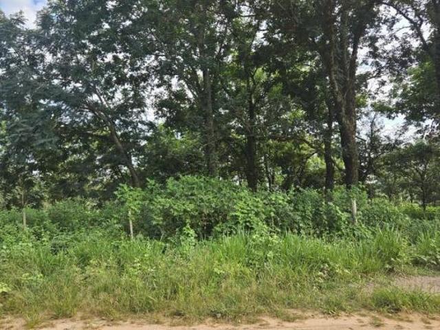Terreno para Venda em Ibirá, Jardim Esplanada