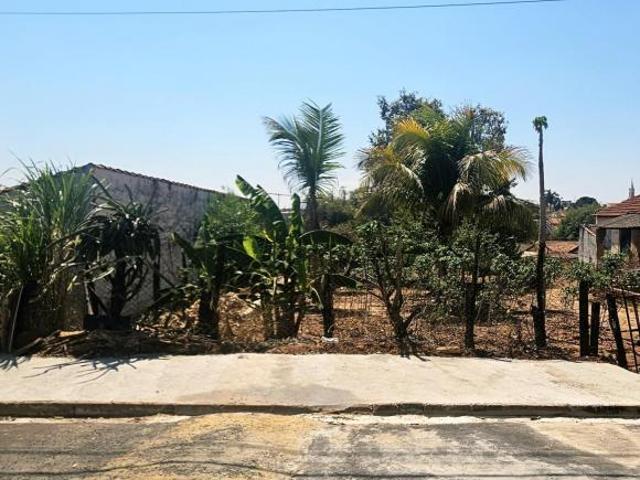 Terreno para Venda em Ibirá, São Benedito