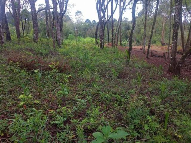 Terreno para Venda em Ibiúna, Sorocamirim