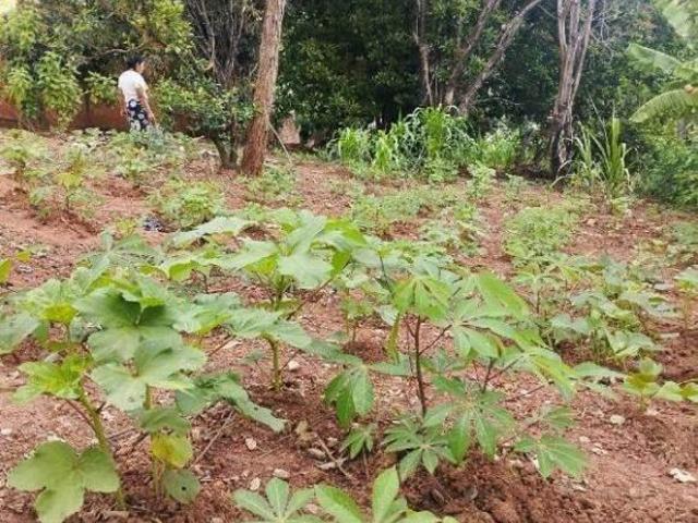 Terreno para venda em Icaivera, Betim