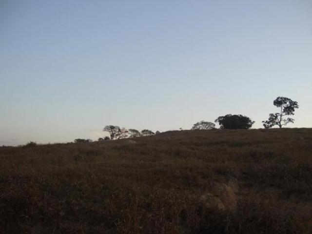 Terreno para Venda em Itaguara, Rural