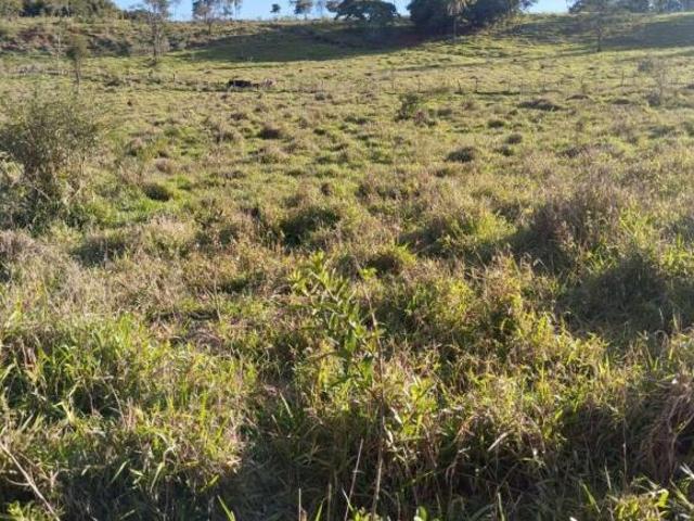Terreno para Venda em Itaguara, Rural