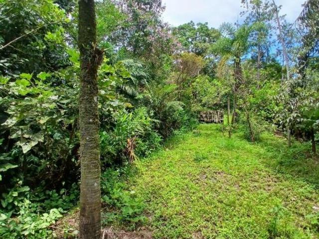 Terreno para Venda em Itanhaém, Coronel