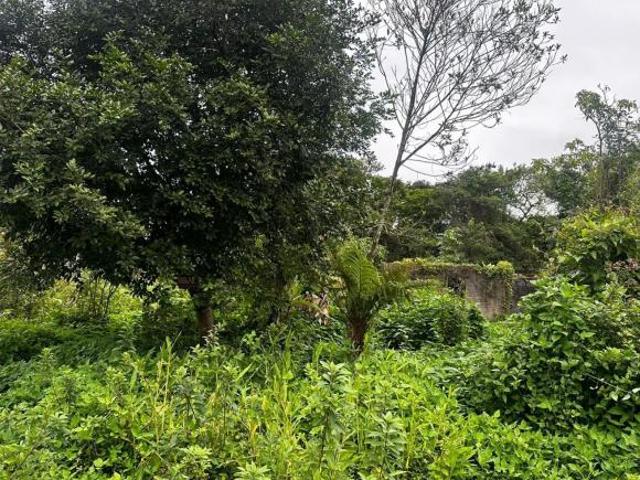 Terreno para Venda em Itanhaém, Coronel