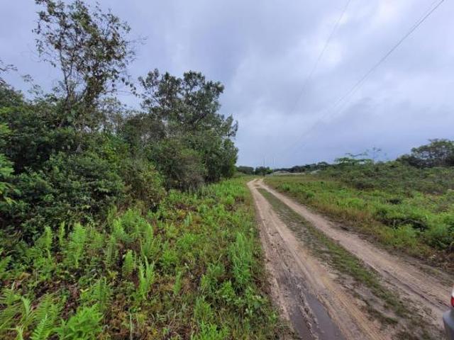 Terreno para Venda em Itanhaém, Coronel
