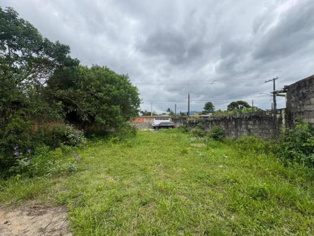 Terreno para Venda em Itanhaém, Coronel