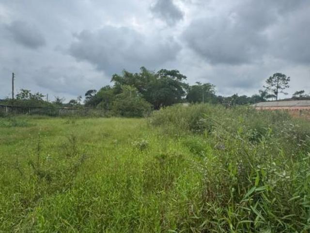 Terreno para Venda em Itanhaém, Coronel