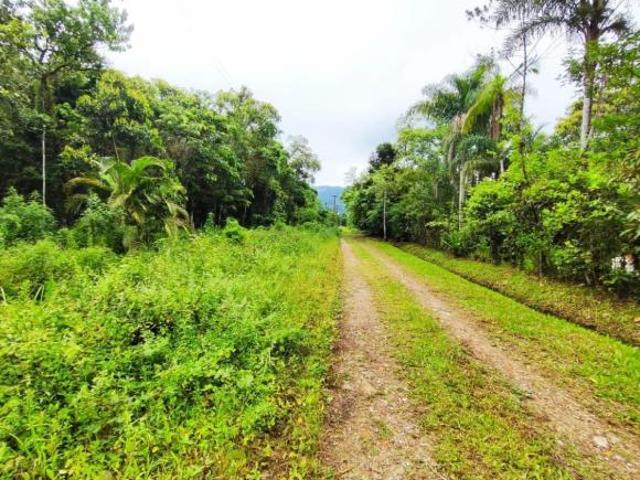 Terreno para Venda em Itanhaém, Coronel