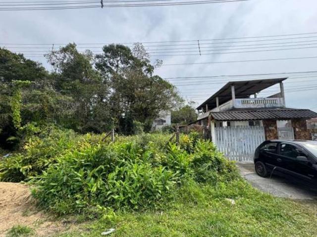 Terreno para Venda em Itanhaém, Coronel
