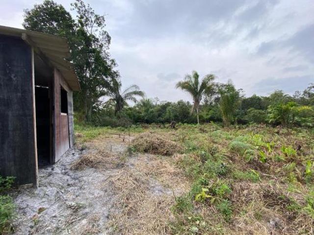 Terreno para Venda em Itanhaém, Coronel