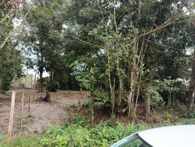 Terreno para Venda em Itanhaém, Coronel