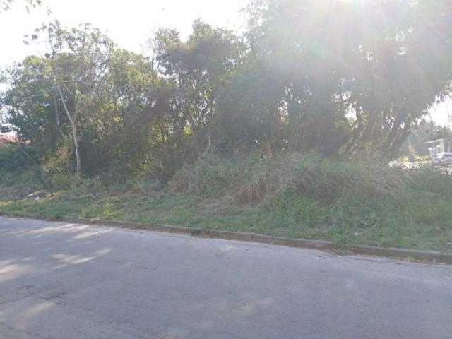 Terreno para Venda em Itanhaém, Califórnia