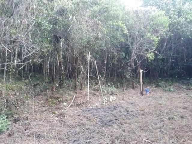 Terreno para Venda em Itanhaém, Chácaras Bopiranga