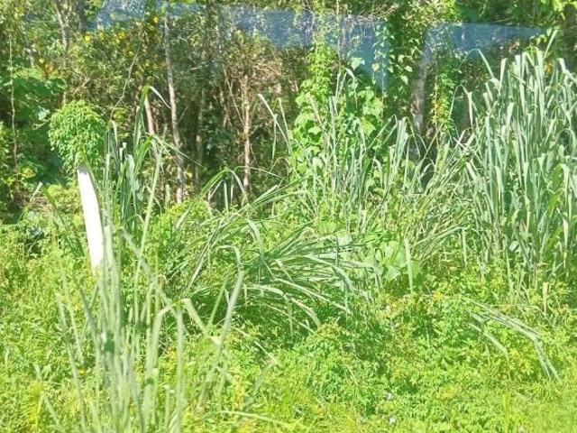 Terreno para Venda em Itanhaém, Chácaras Lucel