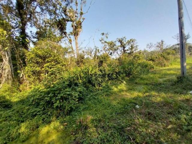 Terreno para Venda em Itanhaém, Chácaras Lucel