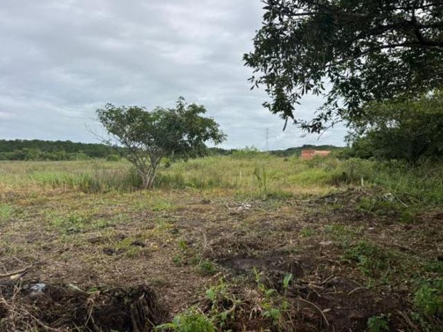Terreno para Venda em Itanhaém, Cibratel 2