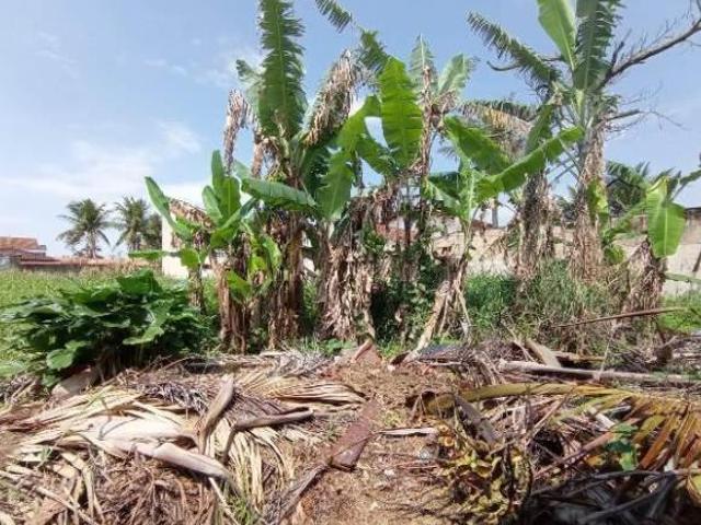 Terreno para Venda em Itanhaém, Cibratel 2