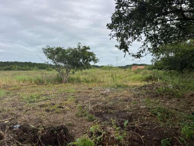 Terreno para Venda em Itanhaém, Cibratel 2
