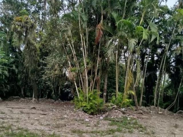 Terreno para Venda em Itanhaém, Aguapeú