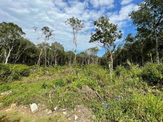 Terreno para Venda em Itanhaém, Bopiranga