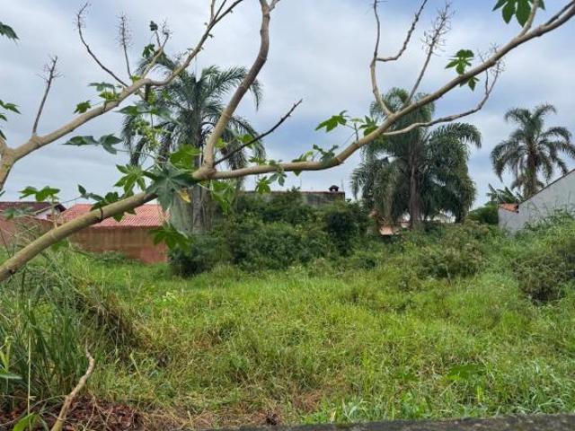 Terreno para Venda em Itanhaém, Bopiranga