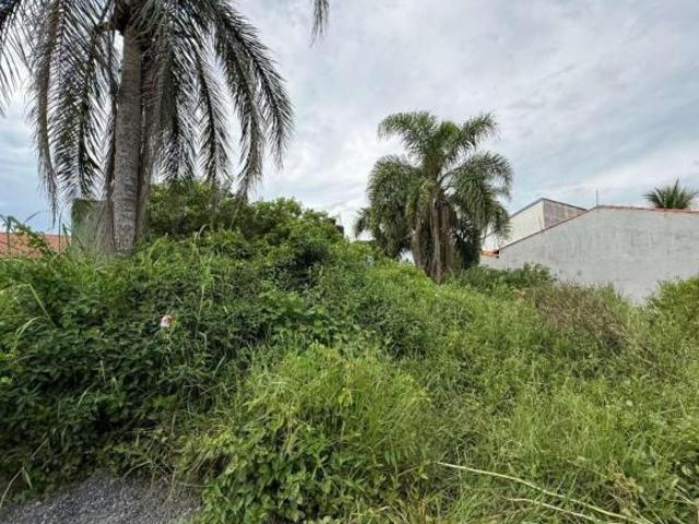Terreno para Venda em Itanhaém, Bopiranga