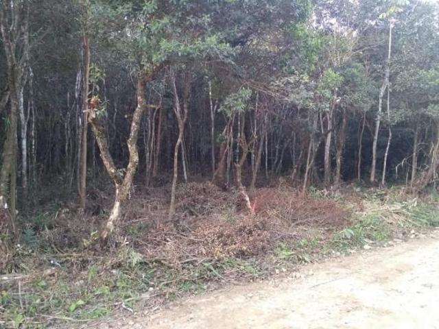 Terreno para Venda em Itanhaém, Balneário Gaivota