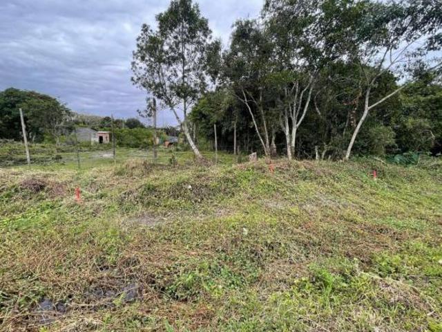 Terreno para Venda em Itanhaém, Balneário Gaivota