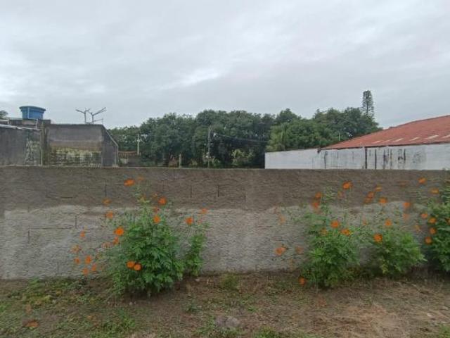 Terreno para Venda em Itanhaém, Balneário Gaivota