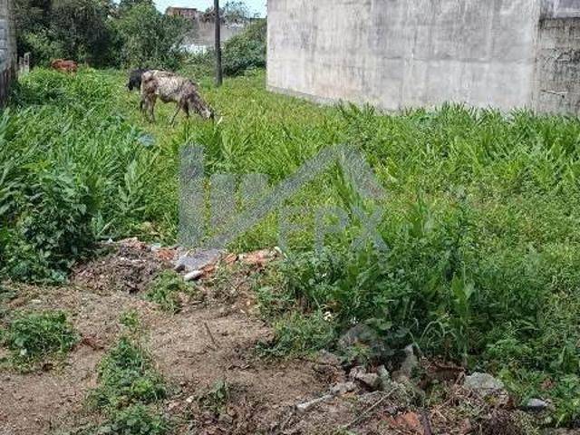 Terreno para Venda em Itanhaém, Balneário Gaivota
