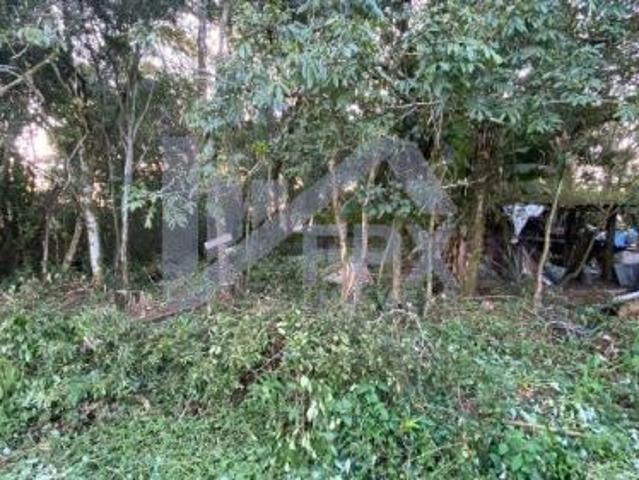 Terreno para Venda em Itanhaém, Balneário Gaivota