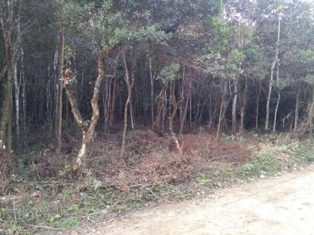 Terreno para Venda em Itanhaém, Balneário Gaivota