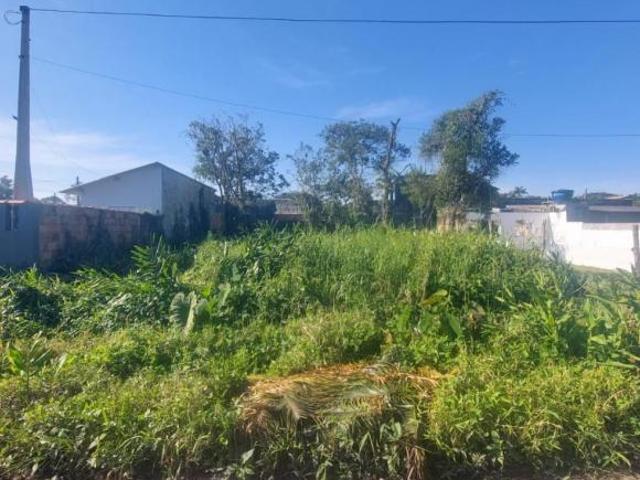 Terreno para Venda em Itanhaém, Balneário Gaivota