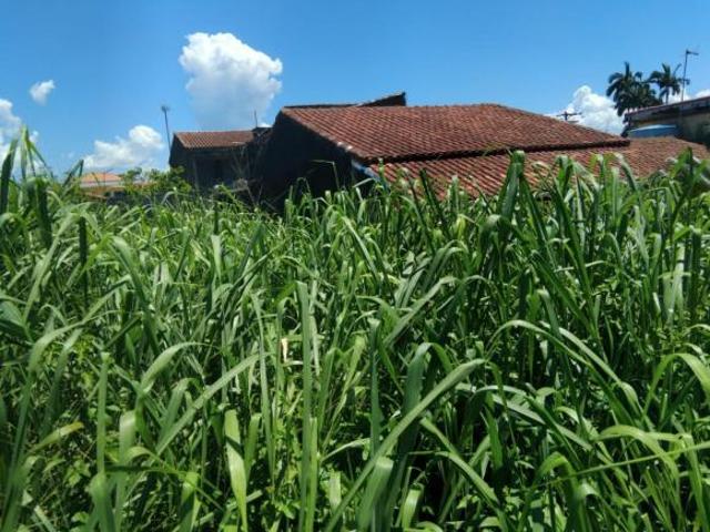 Terreno para Venda em Itanhaém, Balneário Gaivota