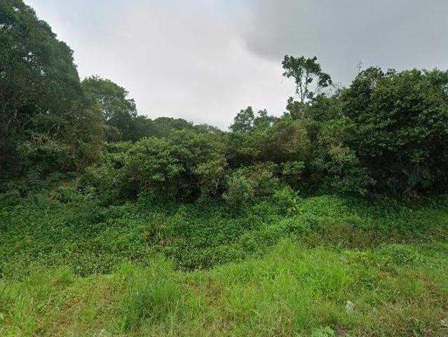 Terreno para Venda em Itanhaém, Balneário Gaivota