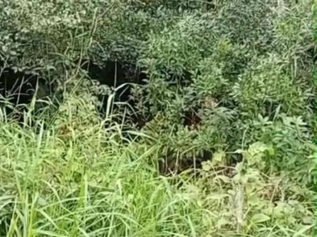 Terreno para Venda em Itanhaém, Balneário Gaivota
