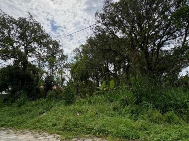 Terreno para Venda em Itanhaém, Balneário Verde Mar