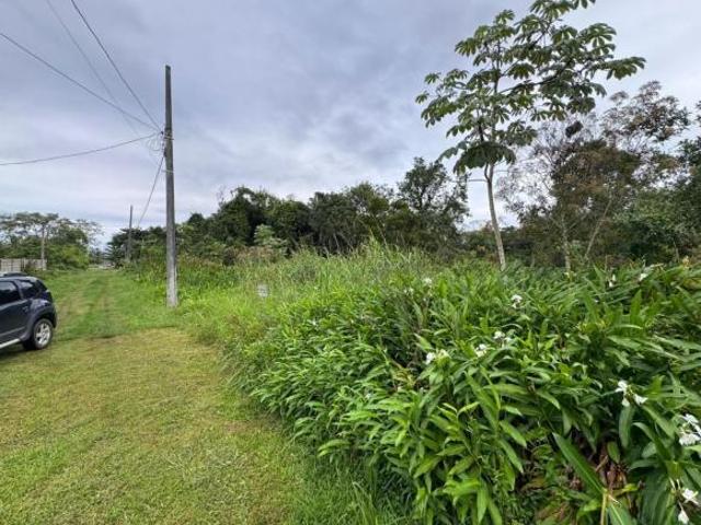 Terreno para Venda em Itanhaém, Gaivota