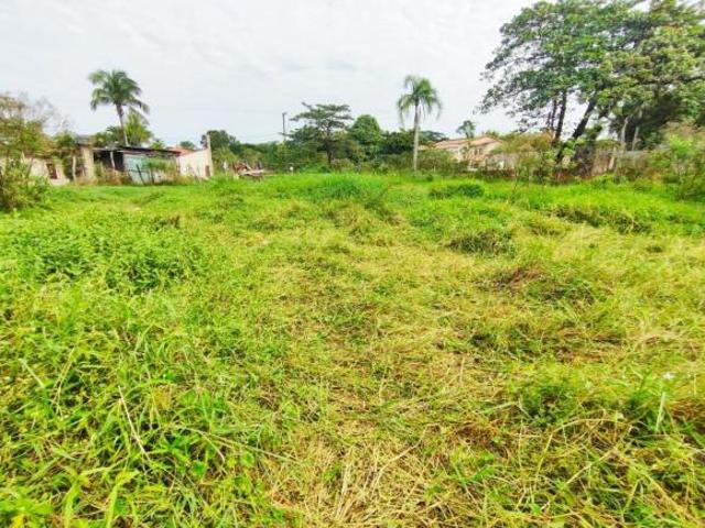 Terreno para Venda em Itanhaém, Gaivota