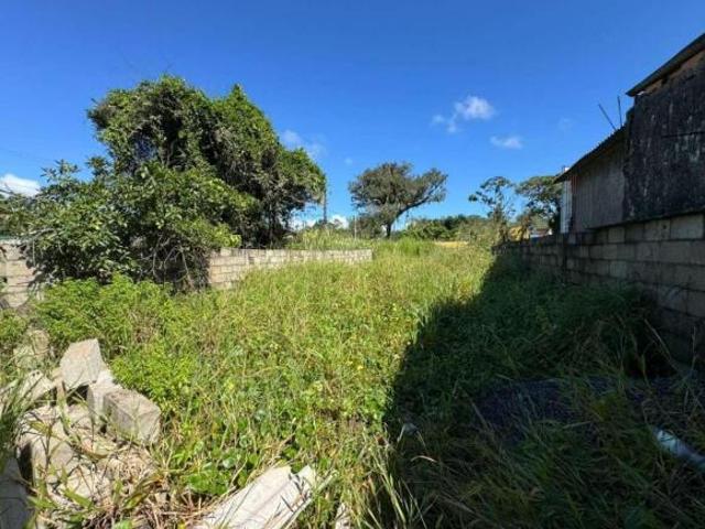 Terreno para Venda em Itanhaém, Gaivota