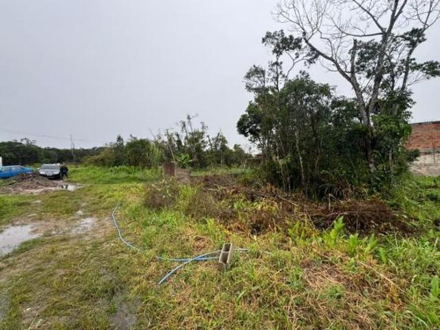 Terreno para Venda em Itanhaém, Gaivota