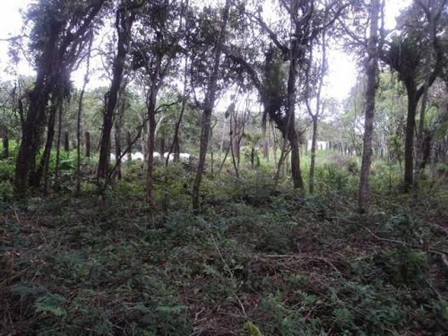Terreno para Venda em Itanhaém, Gaivota