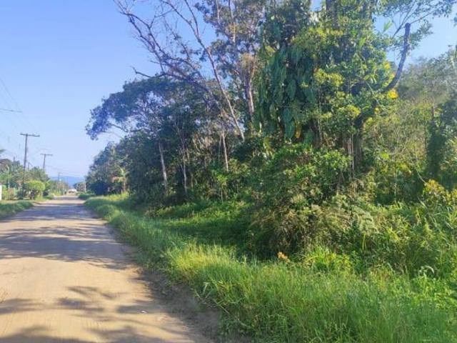 Terreno para Venda em Itanhaém, Gaivota