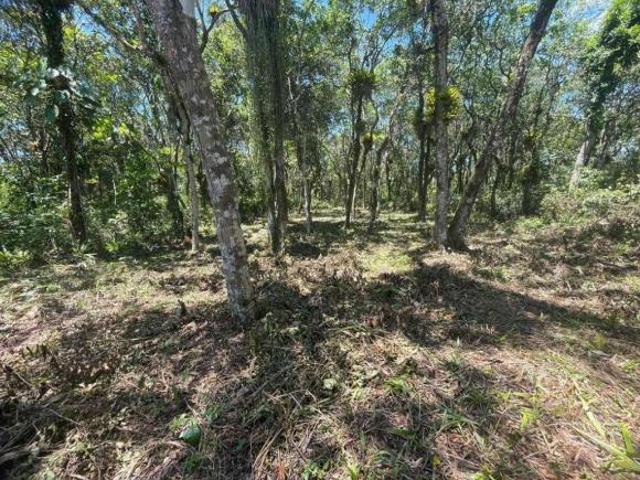 Terreno para Venda em Itanhaém, Gaivota