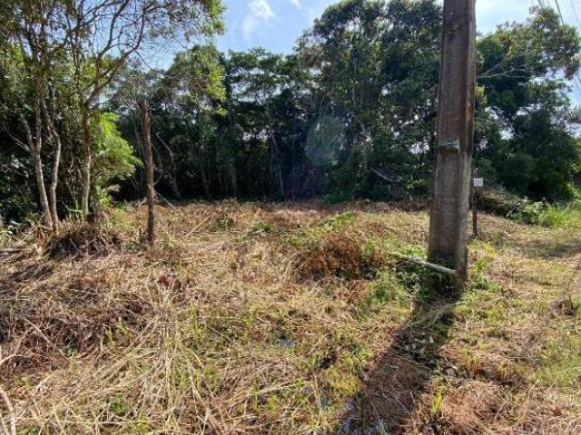 Terreno para Venda em Itanhaém, Gaivota