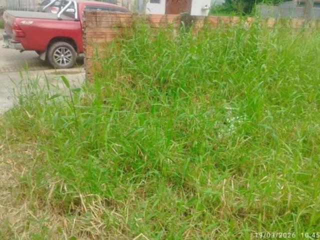Terreno para Venda em Itanhaém, Gaivota
