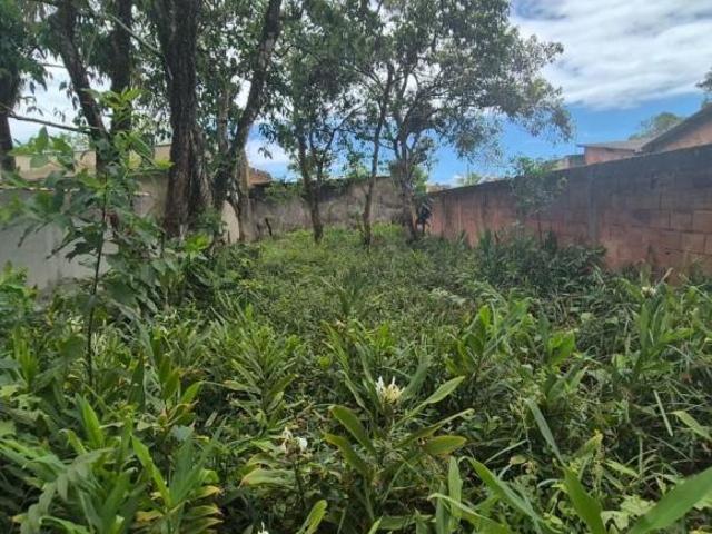 Terreno para Venda em Itanhaém, Gaivota